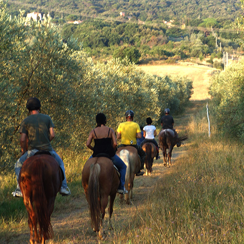 Maneggio RidingTuscany a Montaione.Vacanze a cavallo in Toscana