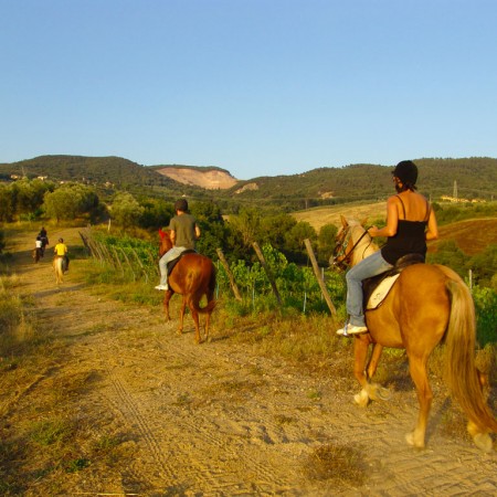 Horseback riding and trekking in Tuscany - Riding Tuscany.com